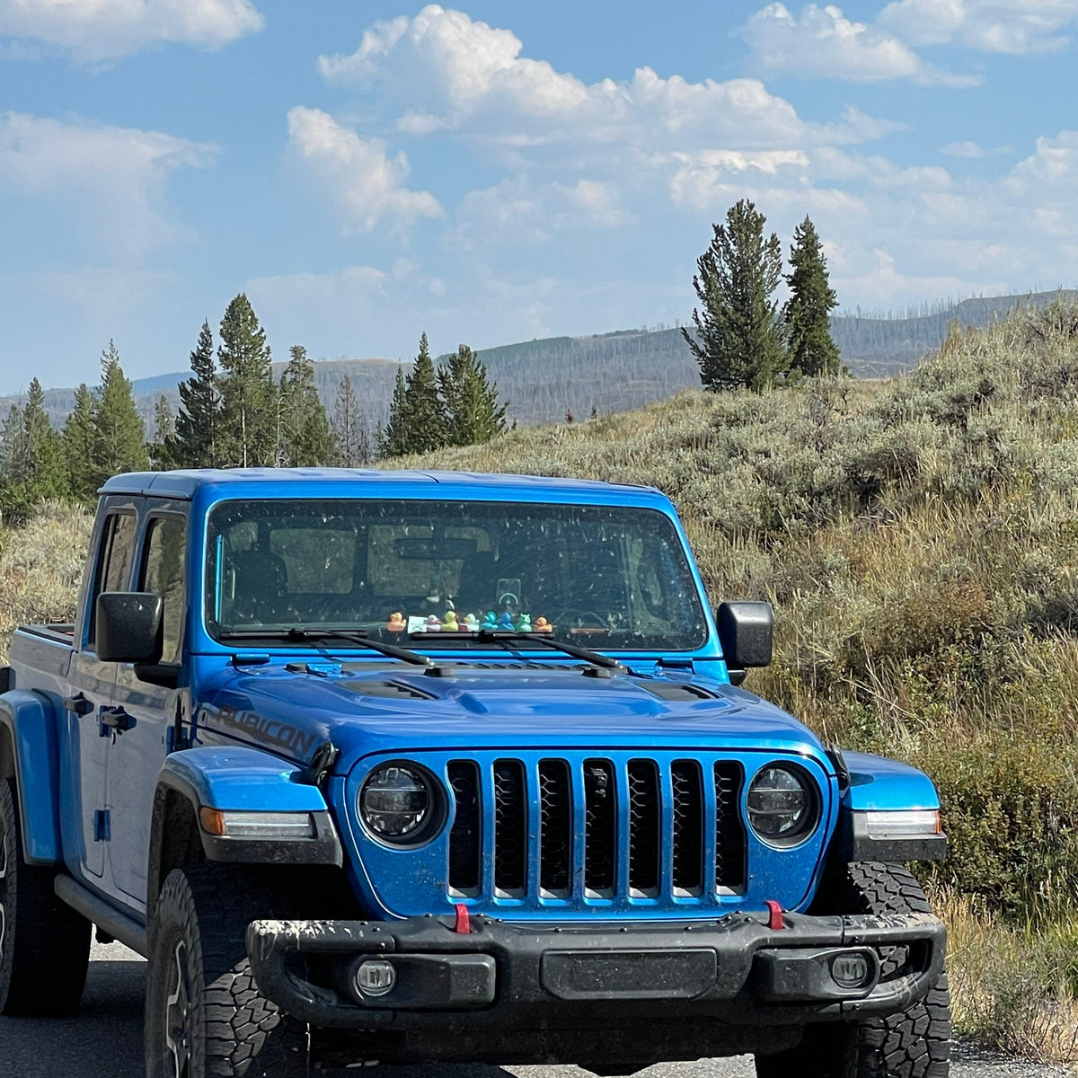 Epic Adventure on the SC Adventure Route (SCAR)